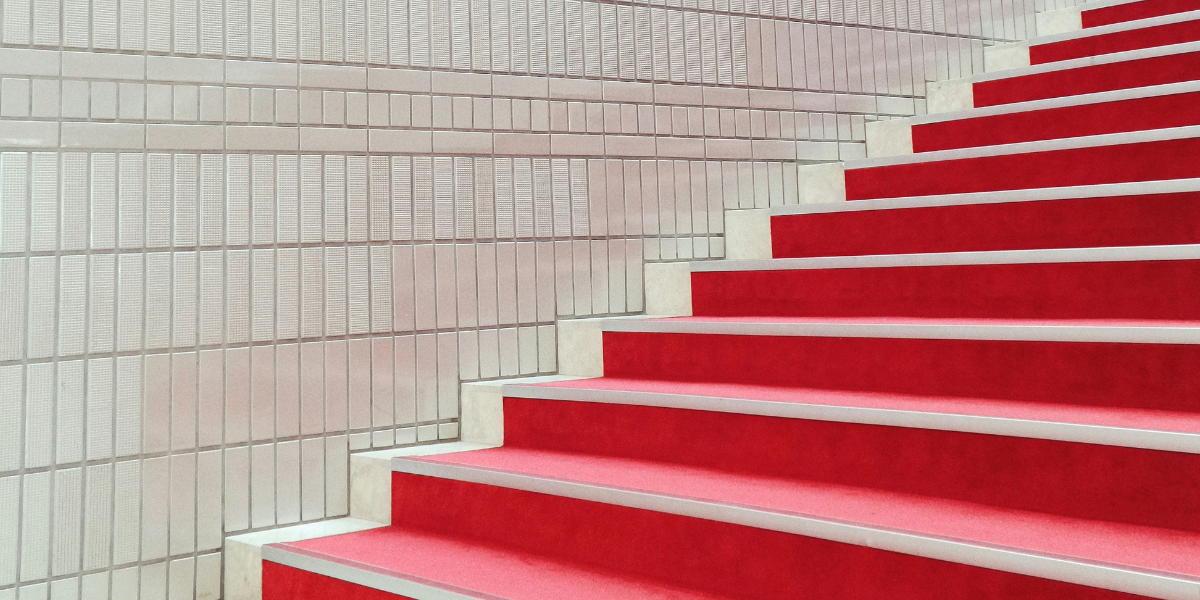 What is a scale-up, and why do you need marketing services?