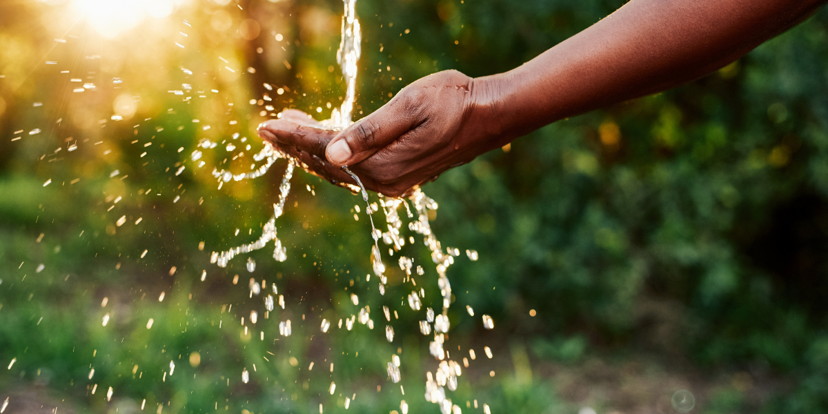 Social Impact & Giving Back