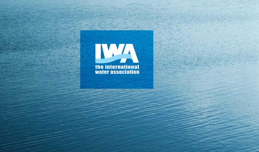 Case study: creating a bolder brand platform for IWA