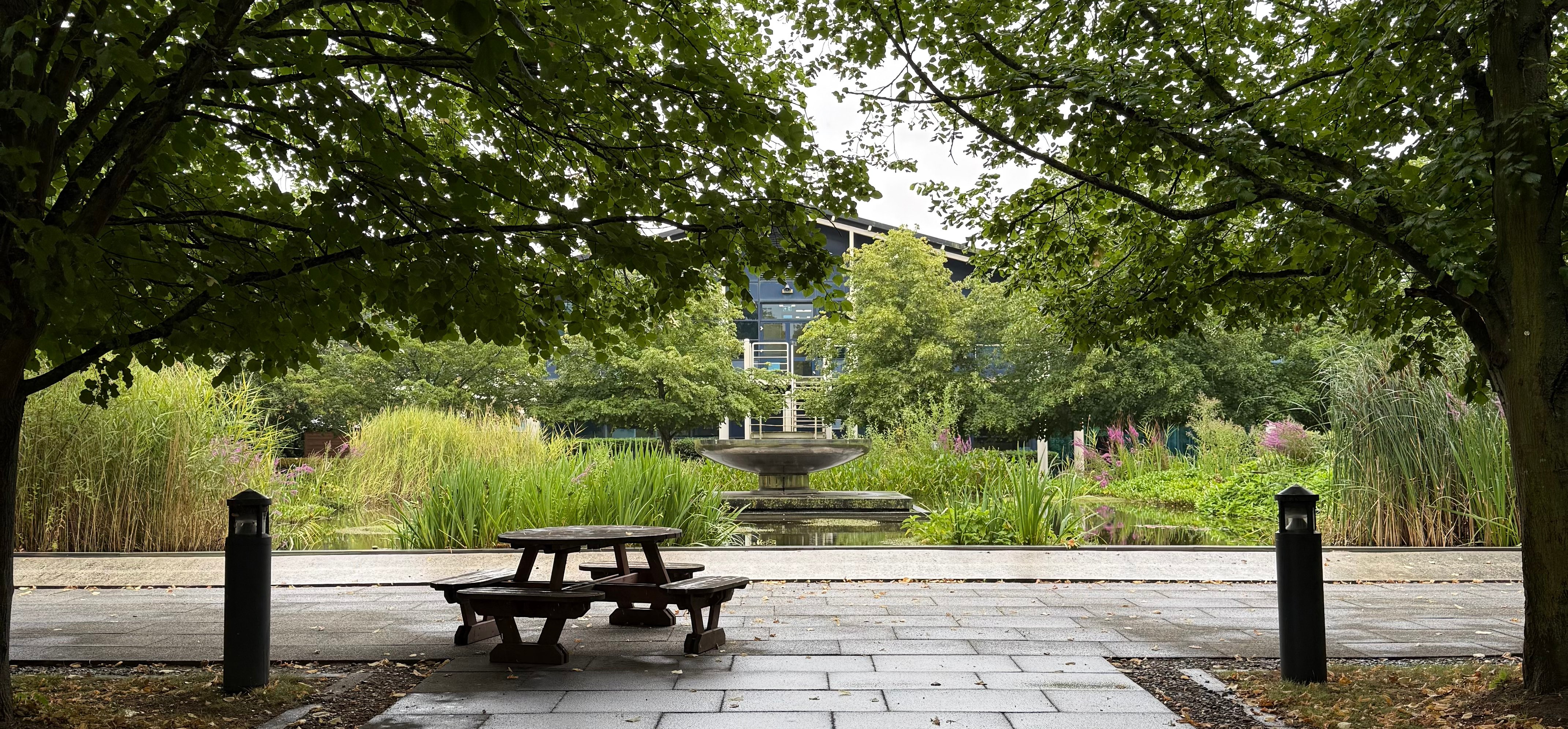 UP in Cambridge: A Creative Hub in the UK’s Leading Life Science Cluster